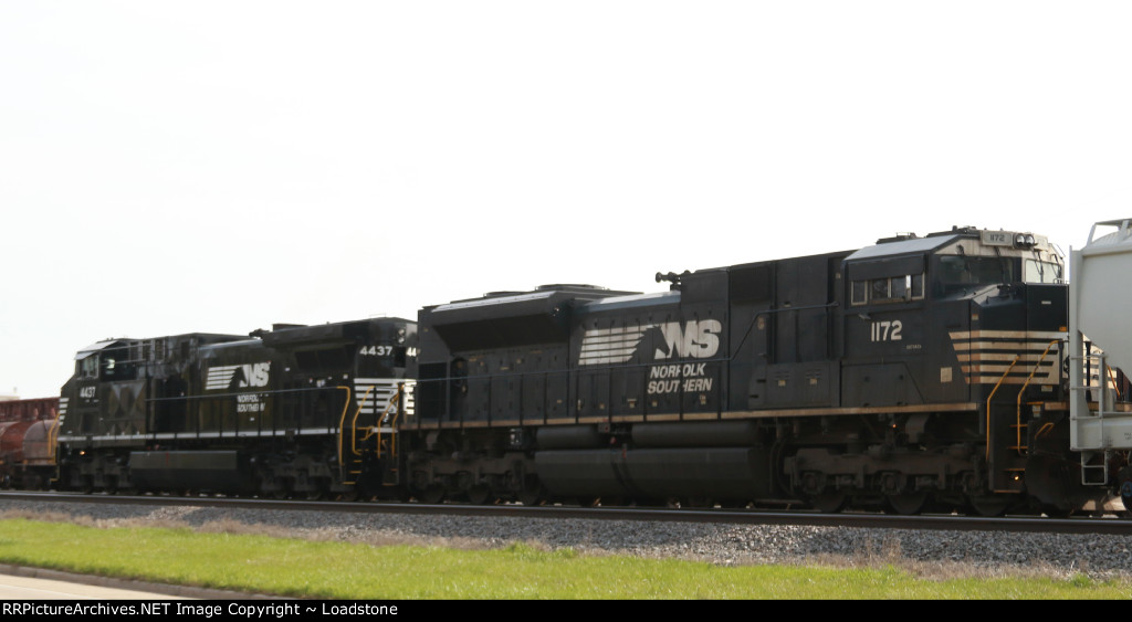 NS 1172 NS 4437